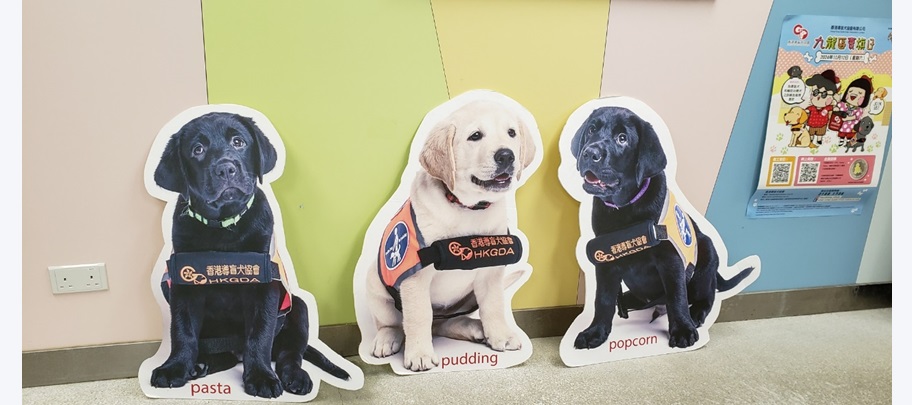 親子活動 – 香港導盲犬協會體驗日 | 精選專區 | ECzone